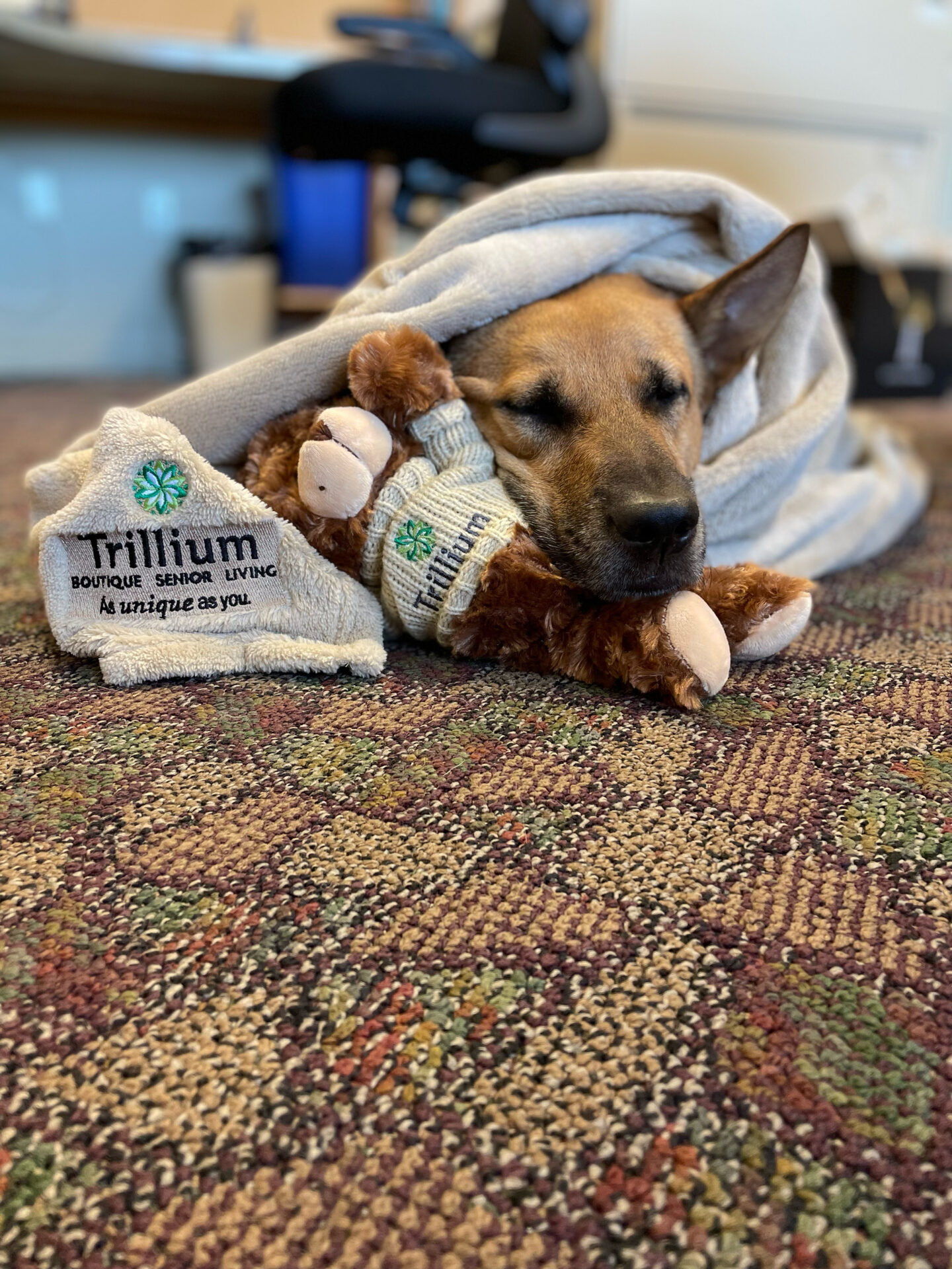Trillium Communities | Career Opportunities
